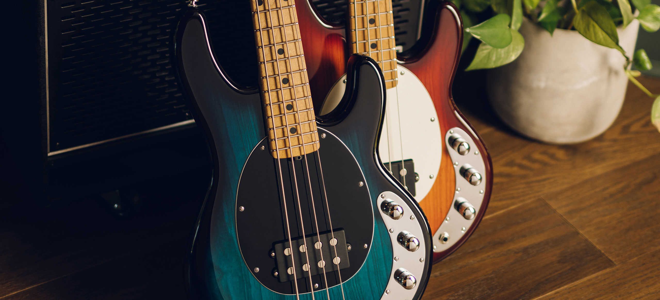 Short Scale StingRay Bass | Basses | Ernie Ball Music Man